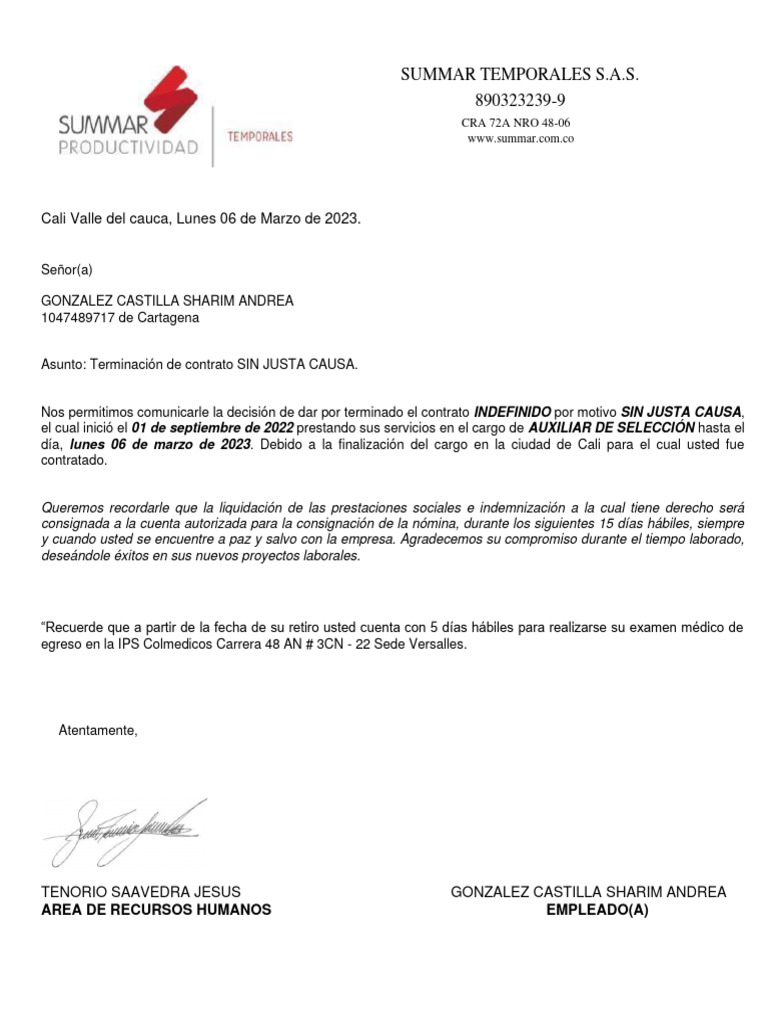 Carta Terminacioncali Summar Productividad | PDF