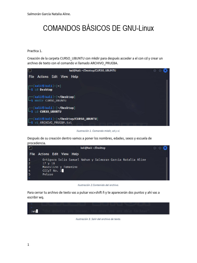 Comandos Básicos de Gnu | PDF | Informática | Software