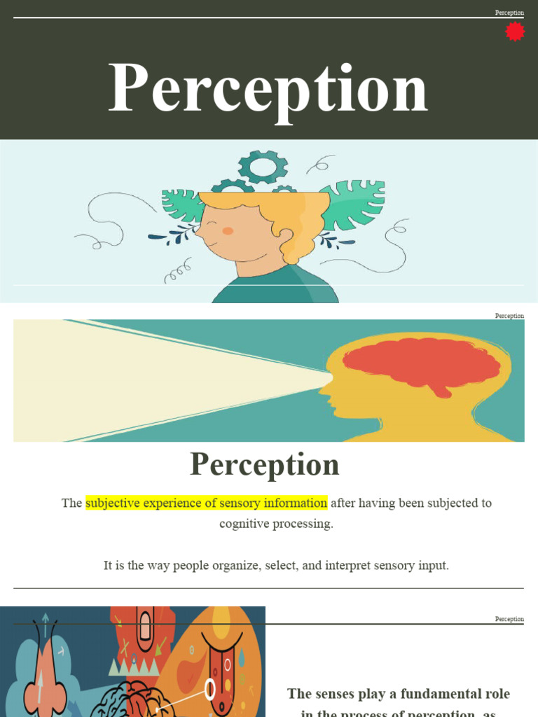 Perception (Visual Perception) XX | PDF | Perception | Senses