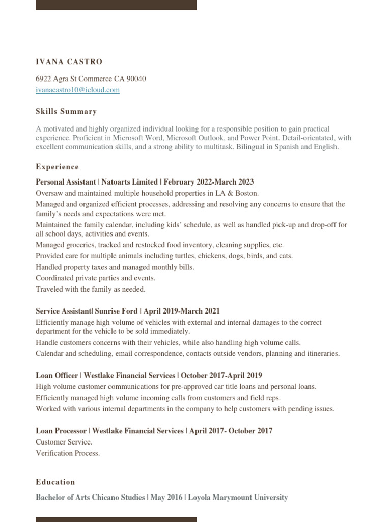 Resume Ivana Castro | PDF