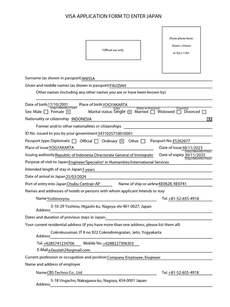 2 Visa Application Form (Input) | PDF
