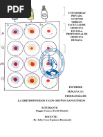 Pericitos | PDF | Capilar | Endotelio