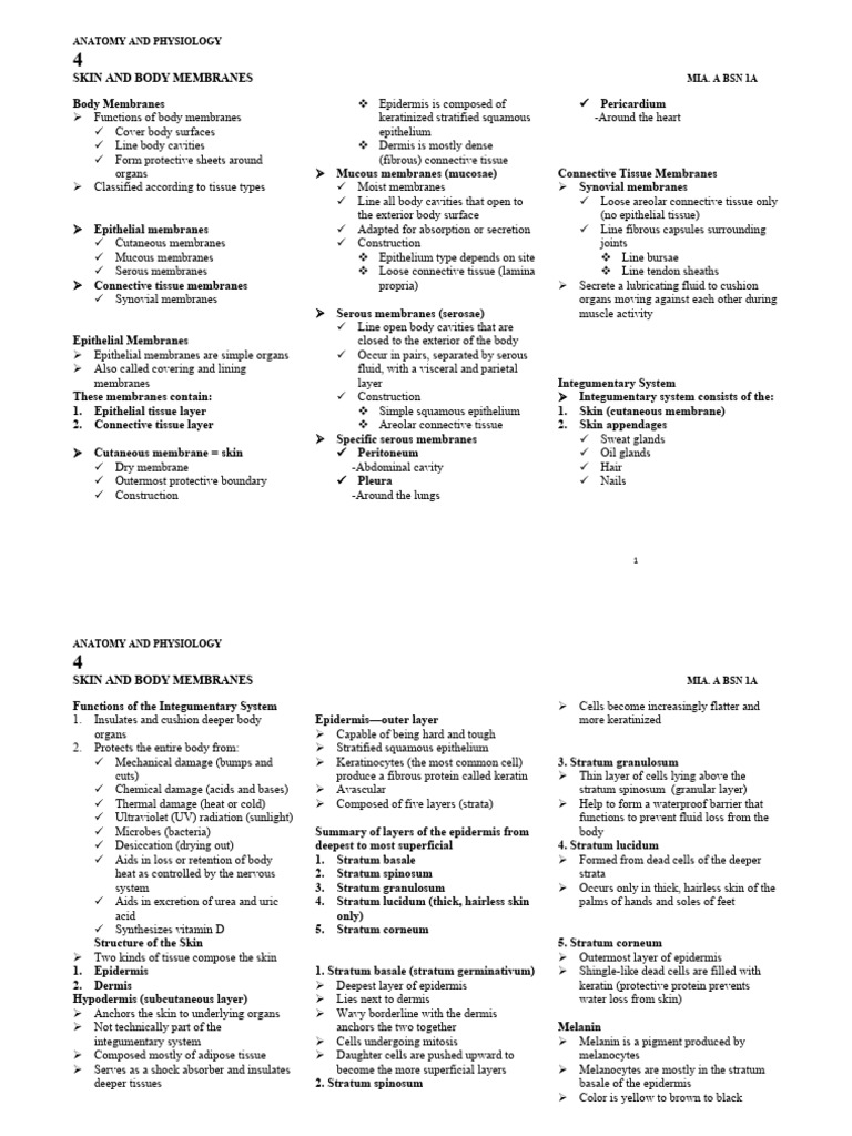 Anaphy Mia Rev4 | PDF