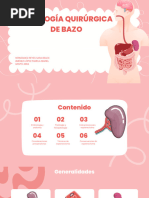 Anatomía y Fisiología Anorrectal | PDF | Recto | Sistema digestivo