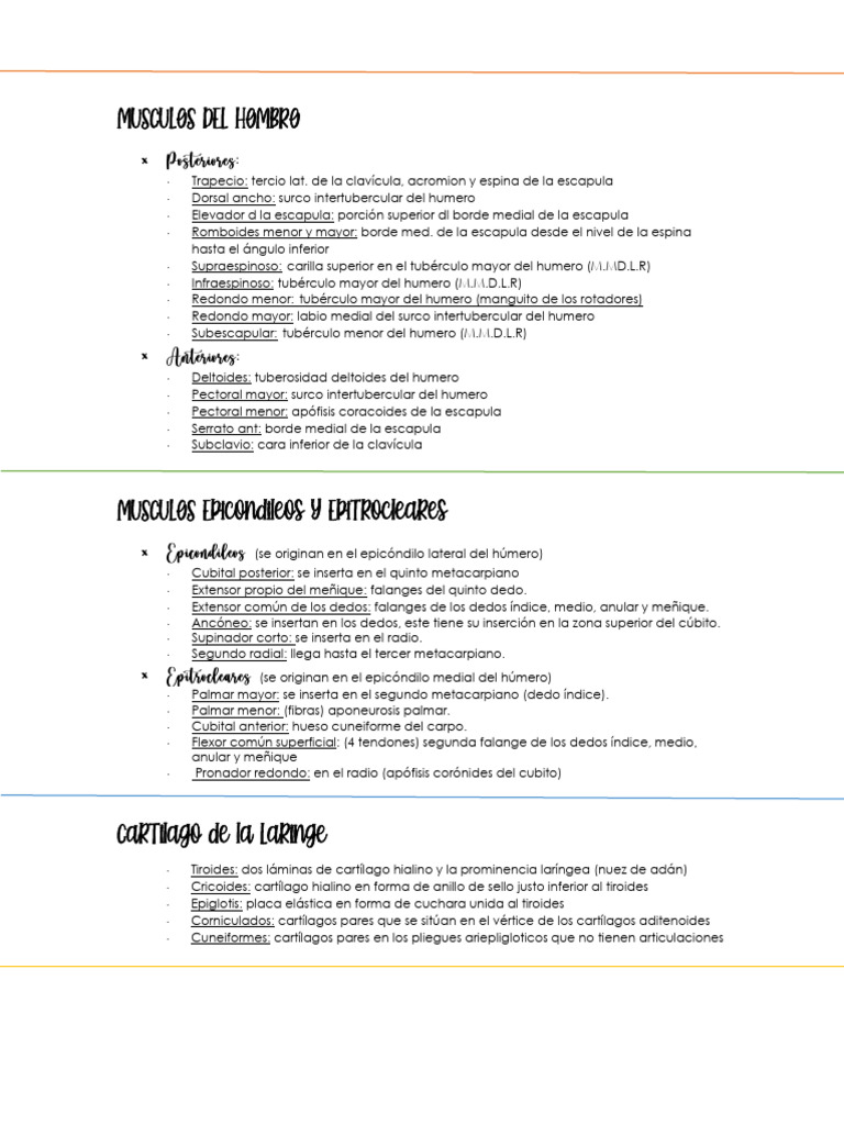 Guia Ordinario Anato | PDF