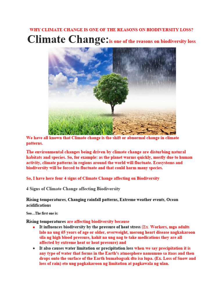 Climate Change - Explanation | PDF