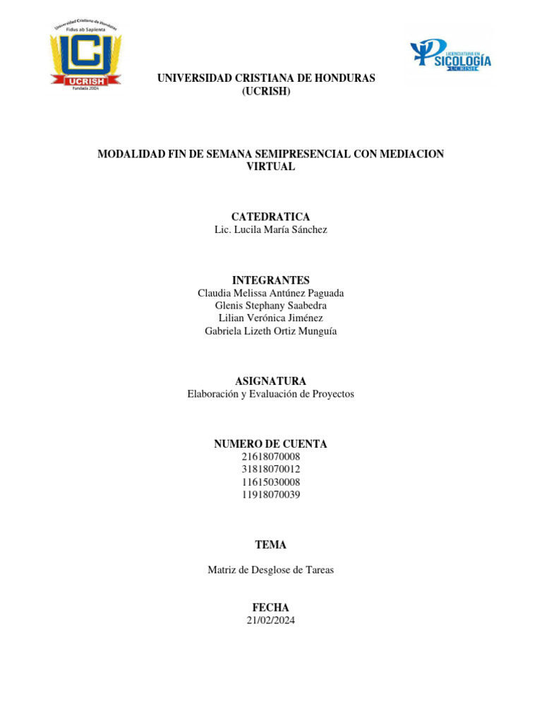 Matriz de Desglose de Tareas | PDF