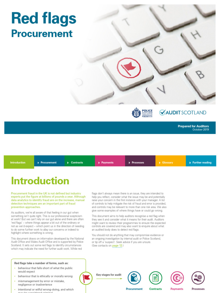 Fraud Red Flags Procurement | PDF