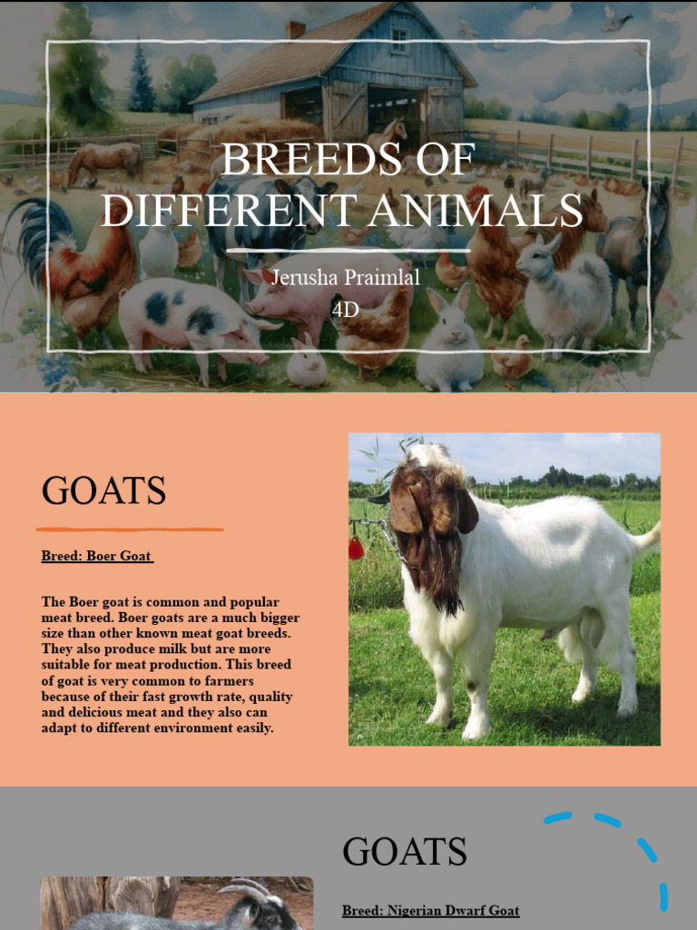 Breeds of Different Animals, Agri Sciene Project 2024 | PDF | Goat ...