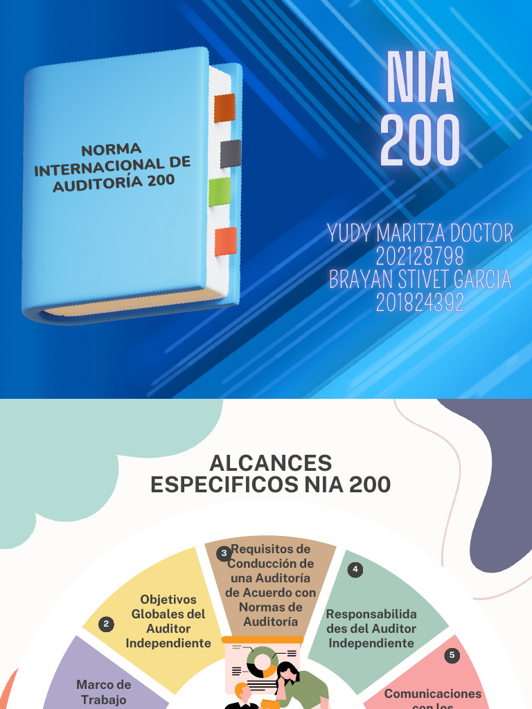 Nia 200 | PDF | Auditoría | Contralor