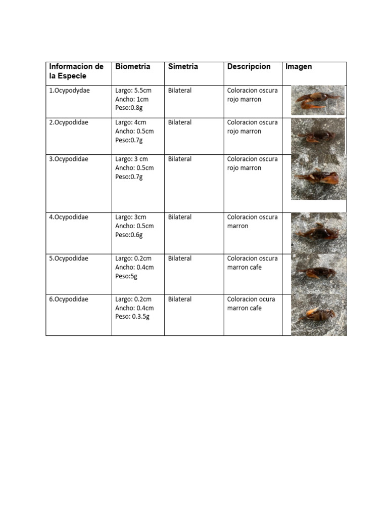 tabla biometria bio | PDF | Moluscos | Taxa