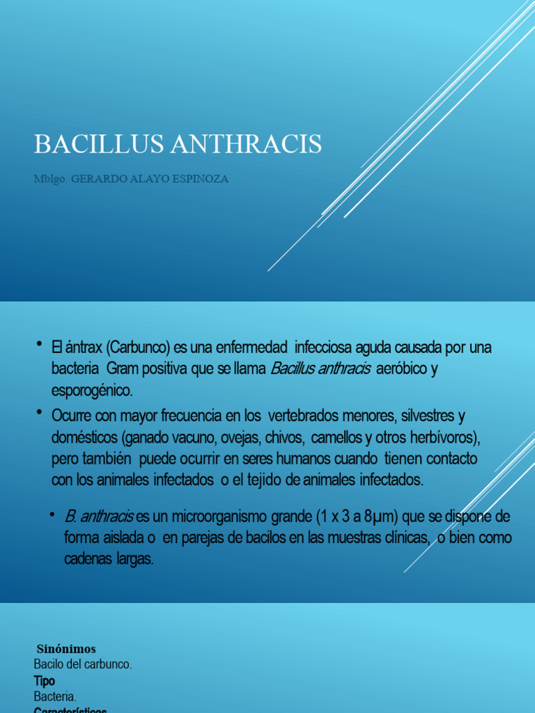 Bacillus Anthracis | Descargar gratis PDF | Ántrax | Bacilo