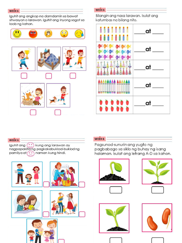 Quiz Week 5 6 1st Quarter Pdf