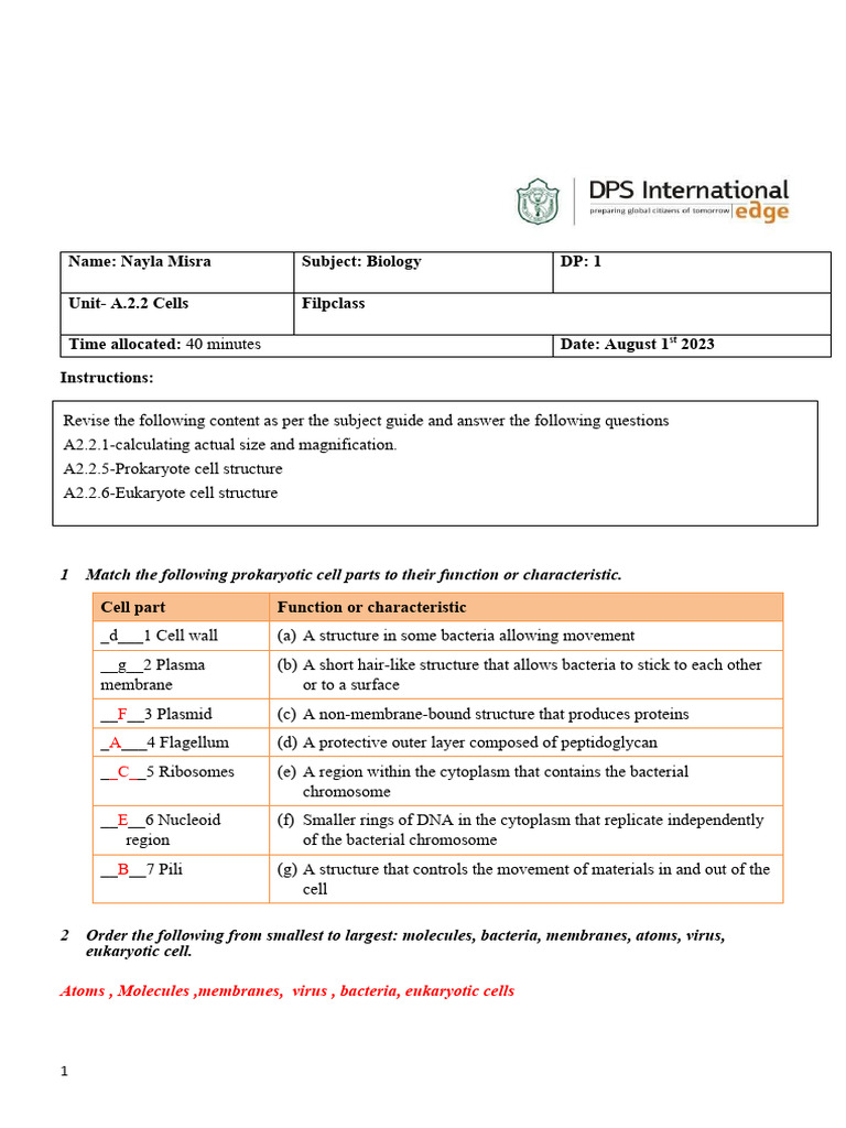 DP1 Biology Cell Tasksheet | PDF | Cell (Biology) | Bacteria