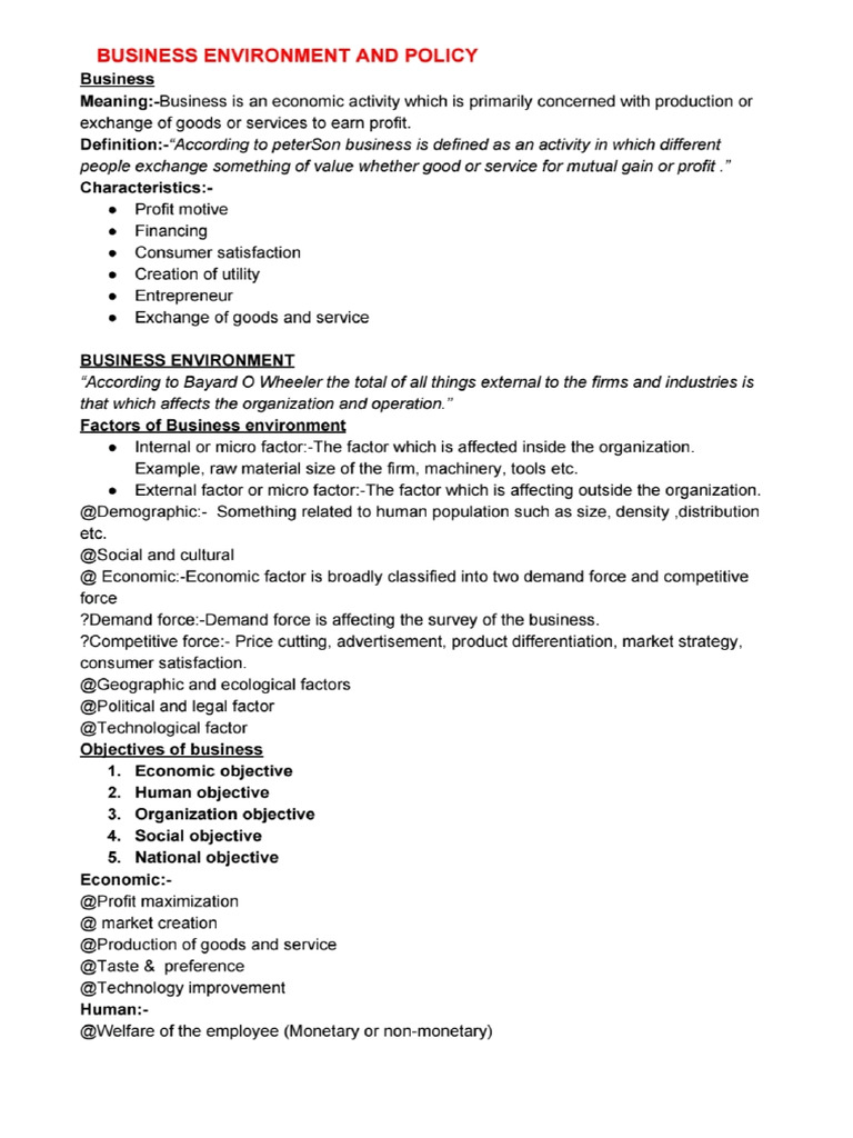 Business Environment Policy | PDF