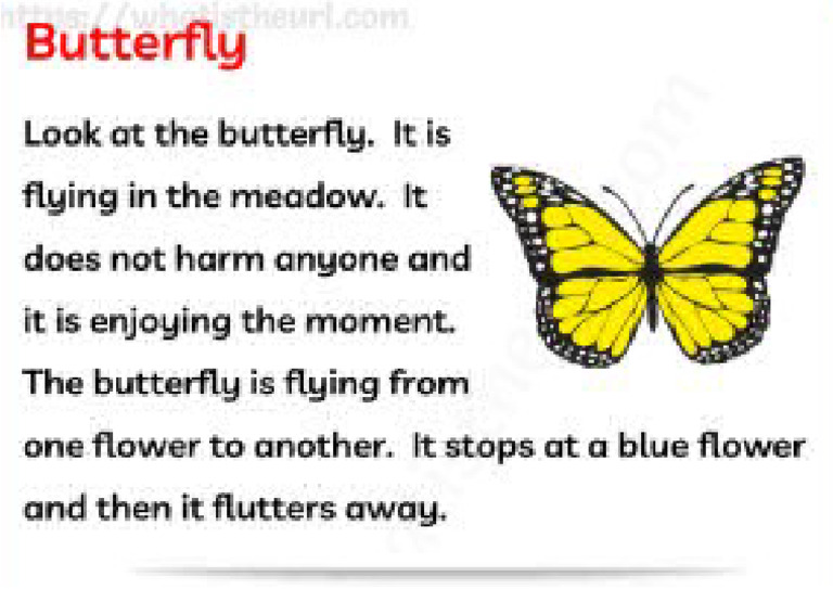 Butterfly Story | PDF