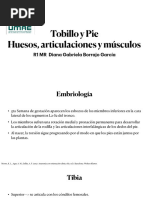 Anatomía de la Pierna: Huesos y Músculos | PDF | Extremidades (anatomía ...