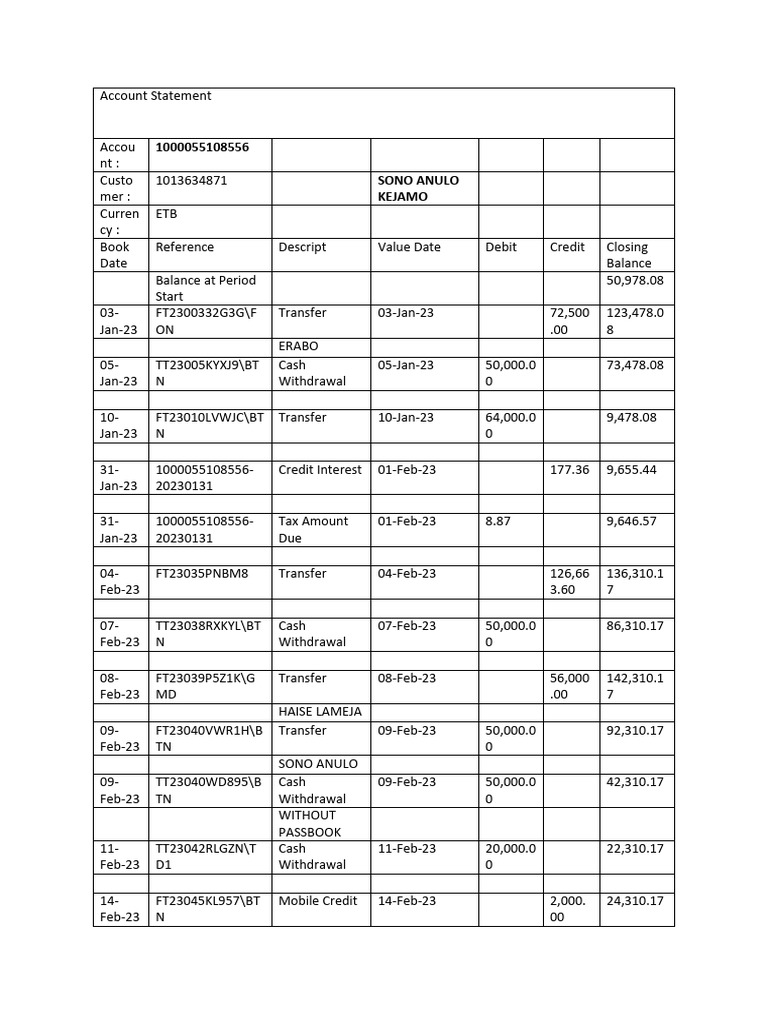 Bereketab Account Statement-1 | PDF | Financial Economics | Corporations