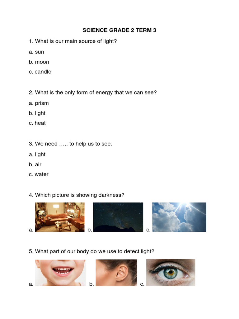 SCIENCE GRADE 2 TERM 3 | PDF