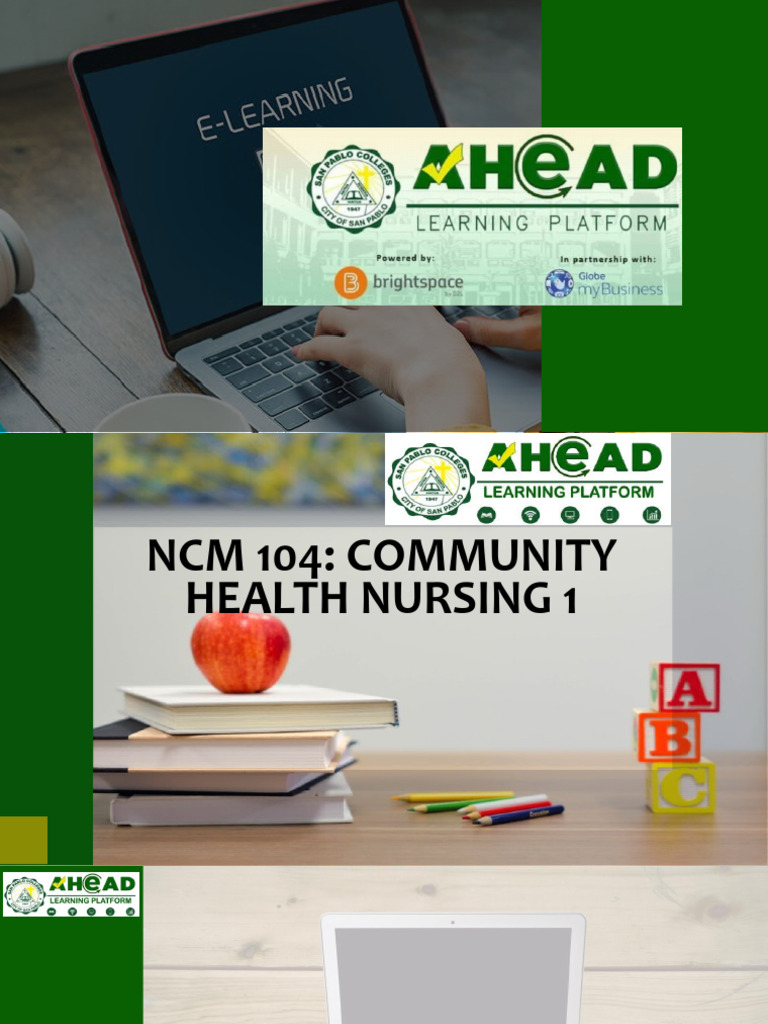 CHN1 MODULE 2 Prelim | PDF | Public Health | Nursing