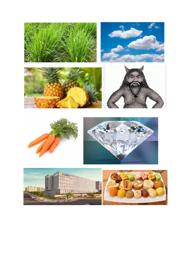 Marathi Project Print | PDF