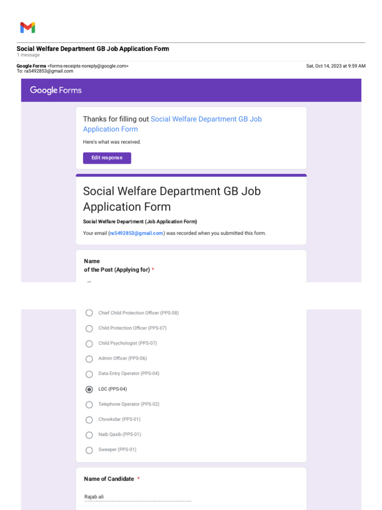 Social Welfare Department GB Job Form | PDF