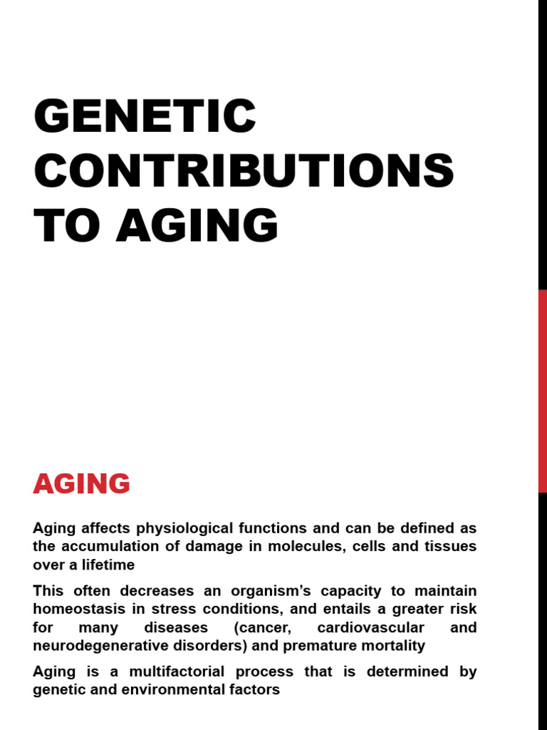 Genetic Factors Influencing Aging | PDF | Senescence | Genetics