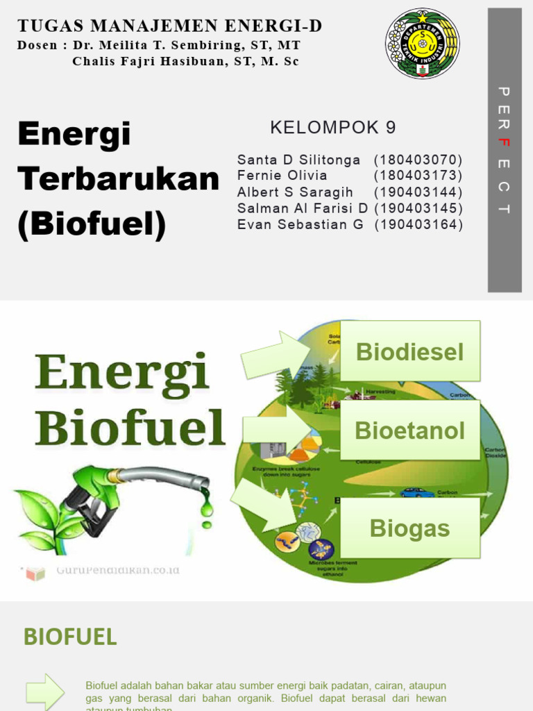 Kelompok 9 - Energi Terbarukan (Biofuel) - Manajemen Energi D | PDF ...