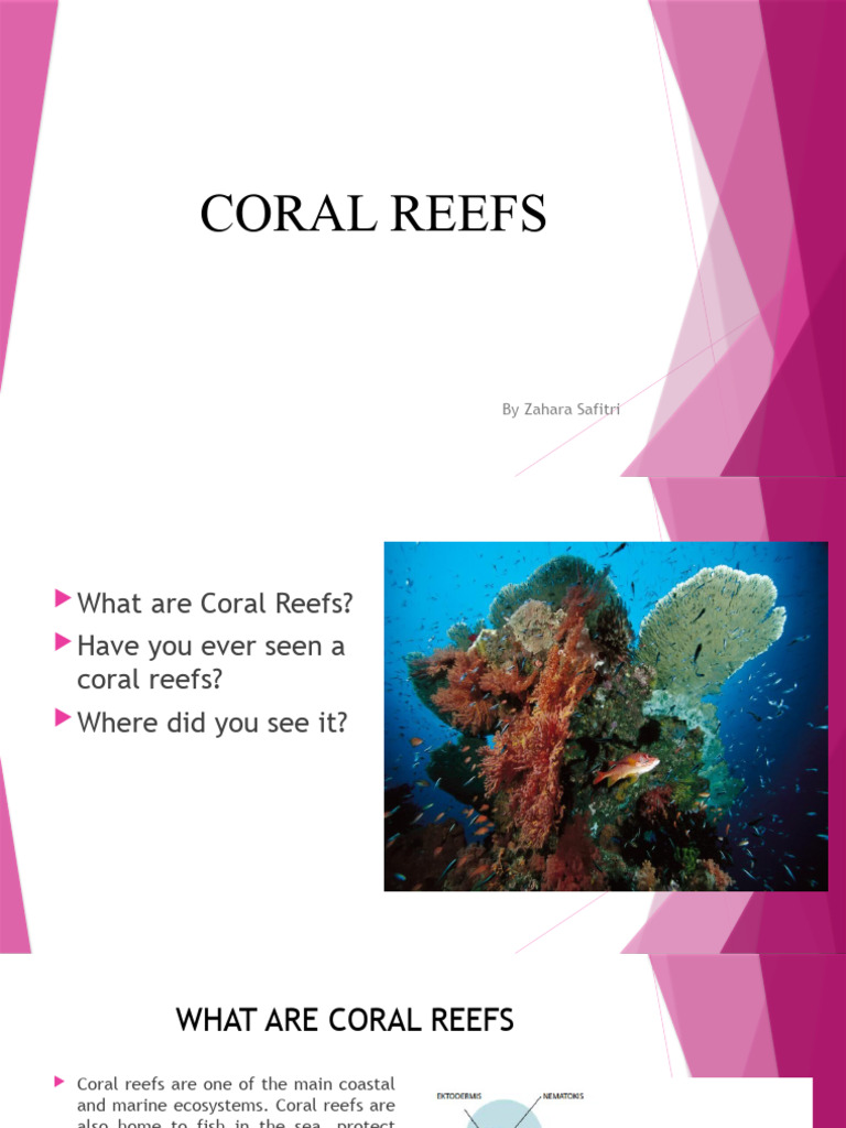 Coral Reefs | PDF