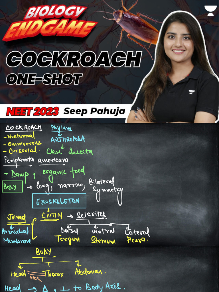 Cockroach Anatomy and NEET Notes | PDF | Anatomy | Zoology