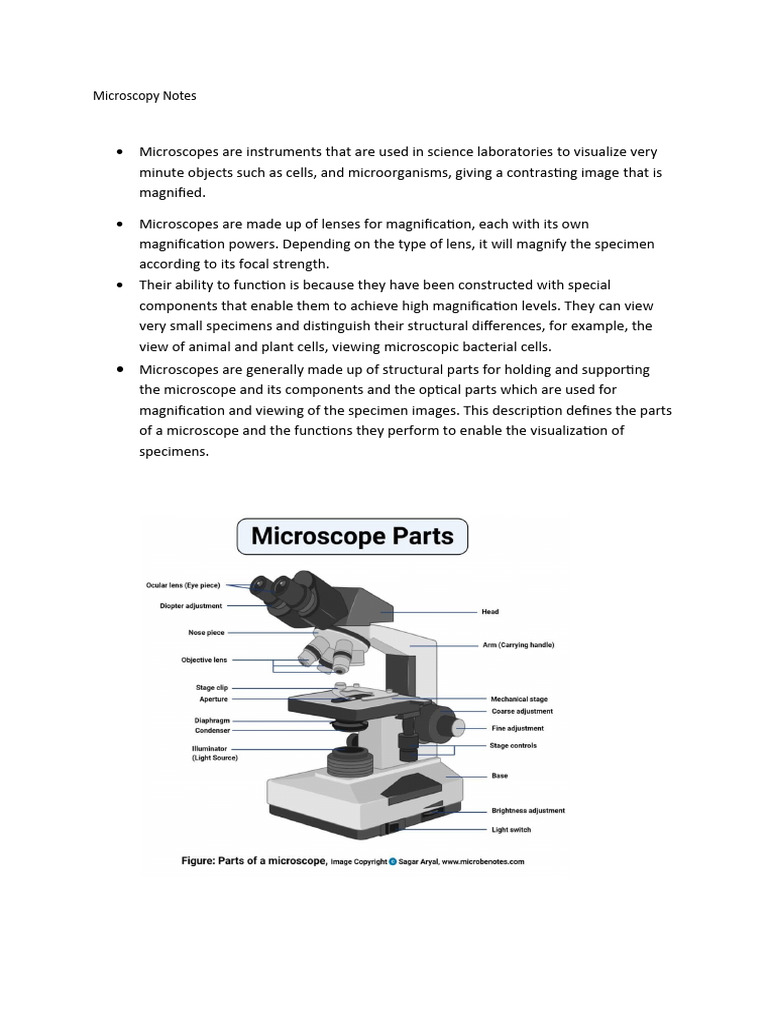 Microscopy Notes and Activity | PDF | Microscope | Optics