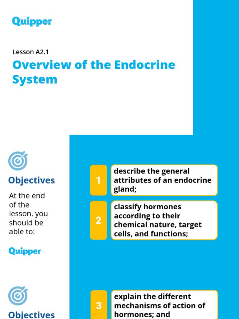 Science 10 A2.1 Overview of the Endocrine System | PDF | Endocrine ...
