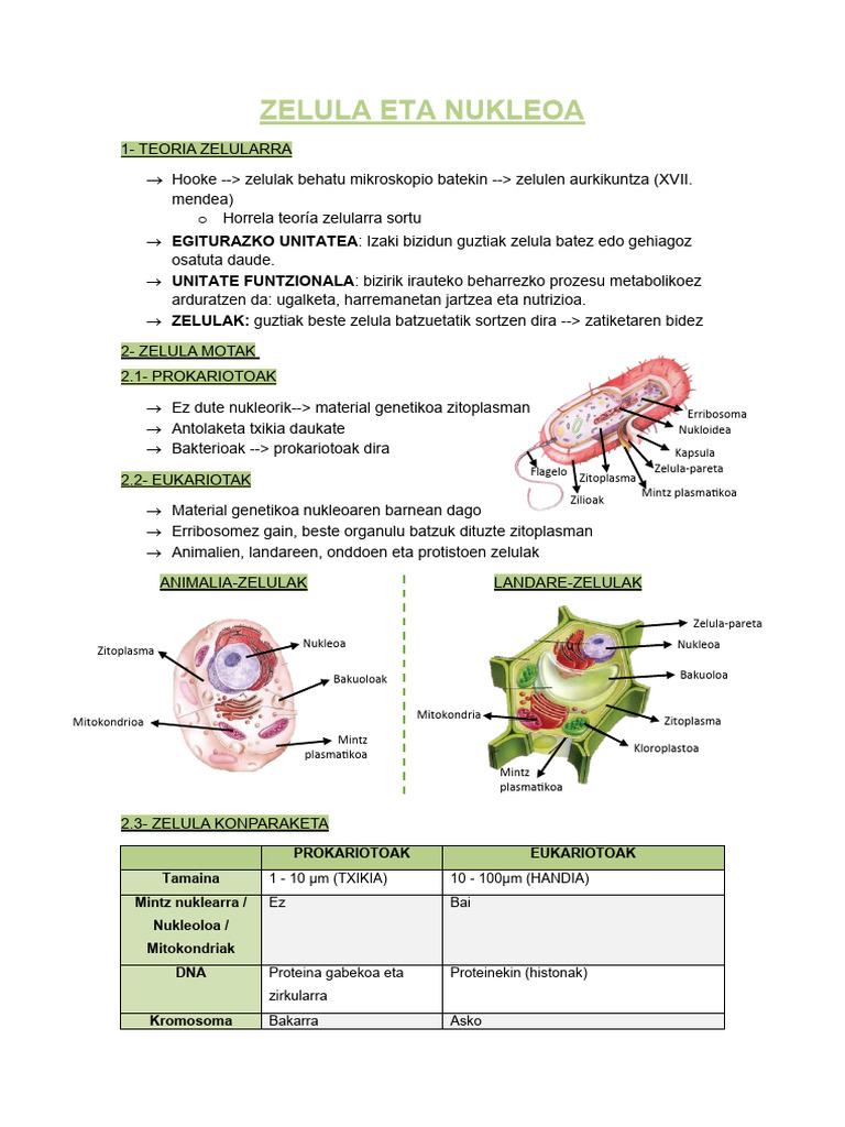 4.GAIA_zelula eta nukleoa_APUNTEAK_DBH4_BIOGEO | PDF