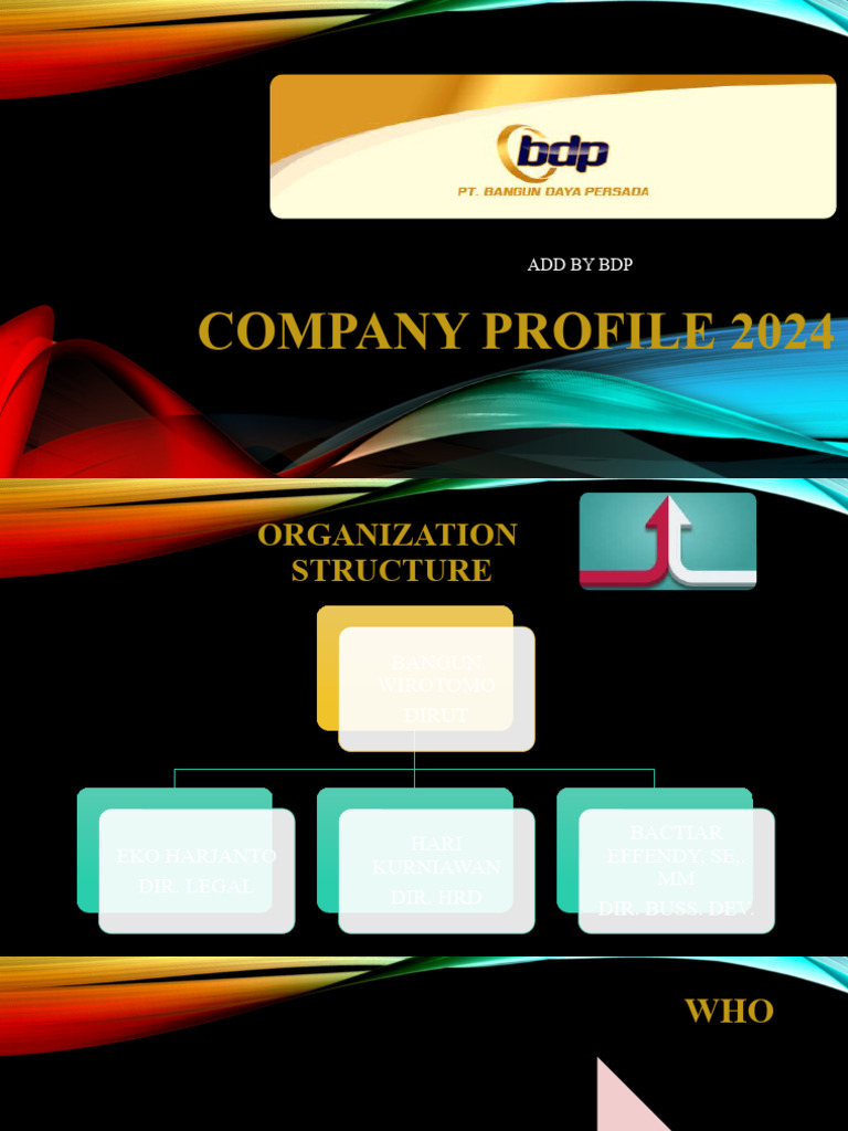 BDP Company Profile 2024 Overview | PDF
