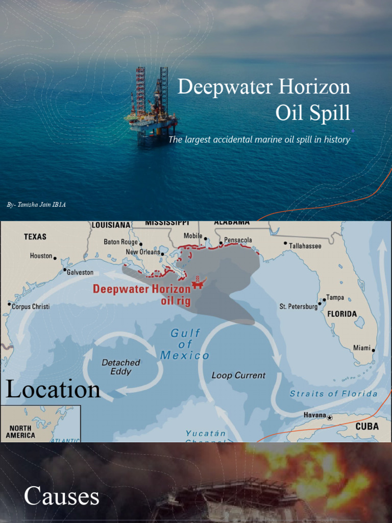 Deepwater Horizon Oil Spill | PDF | Deepwater Horizon Oil Spill | Oil Spill