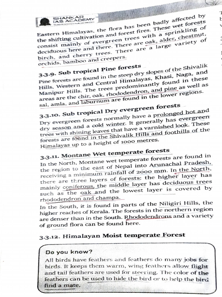 Montane Wet Temperate Forest | PDF | Forests | Himalayas