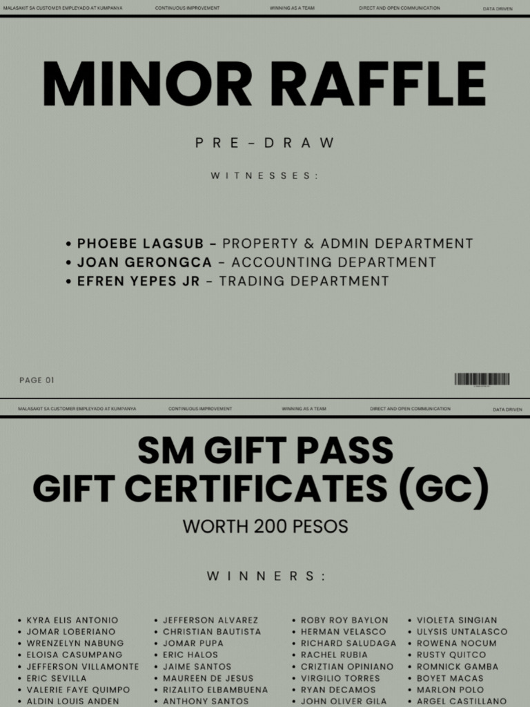 Minor Raffle Winners | PDF