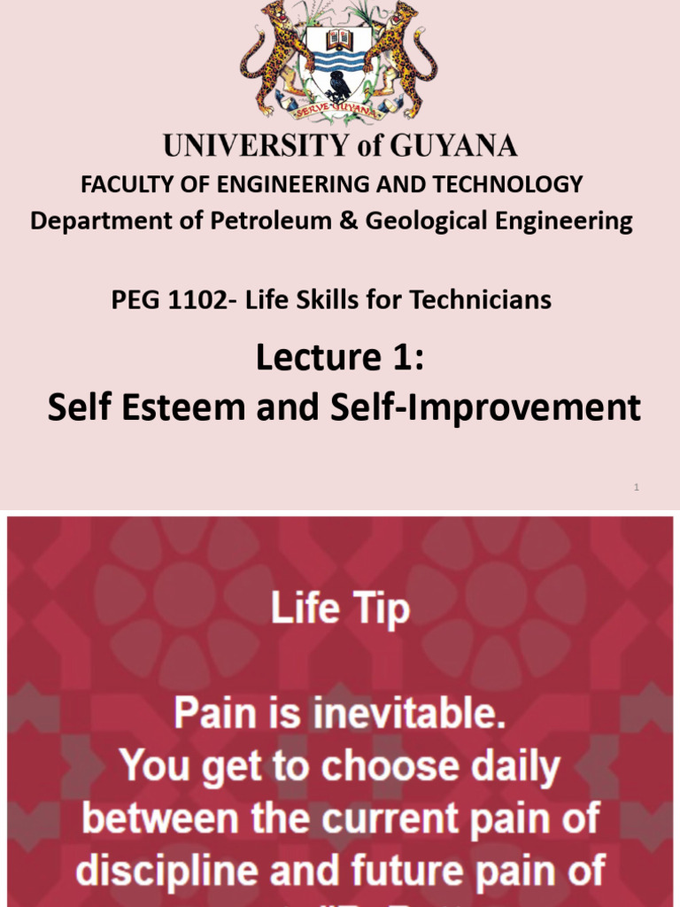 01 Self Esteem and Self Improvement | PDF | Self Esteem | Behavioural Sciences