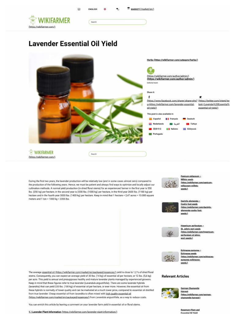 Lavender Essential Oil Production | PDF