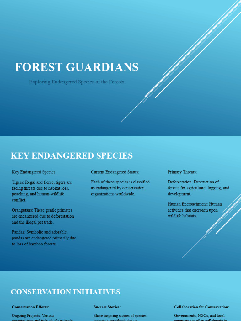 ICT 7 7E SOLIS Forest Guardians Presentation | PDF | Conservation ...
