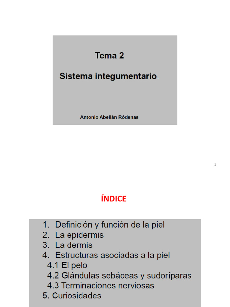 Tema 2. La Piel | PDF