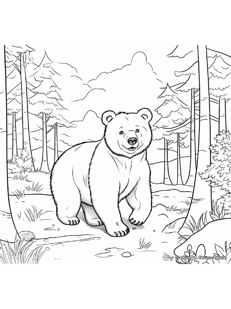 Bear in The Woods3a Forest Scene Coloring Pages 1 | PDF