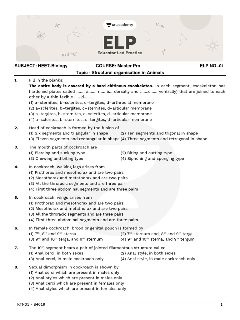 ELP 01 Student Structural Organisation in Animals KTN01 - B4019 1697522208025 | PDF | Animal ...
