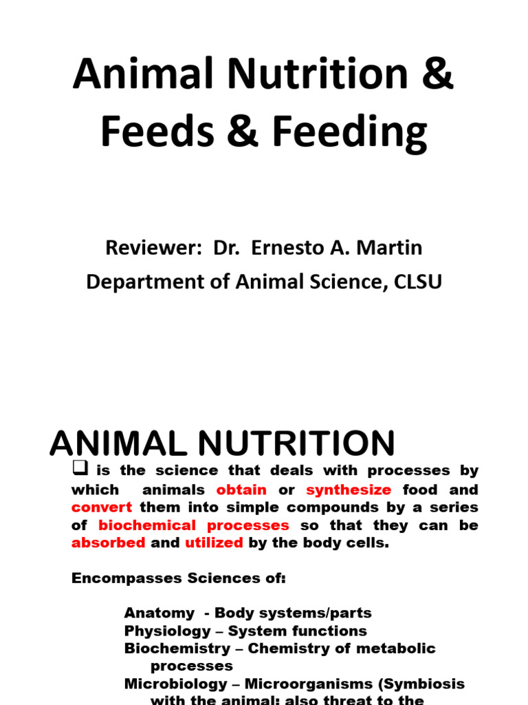 Animal Nutrition | PDF | Nutrients | Nutrition