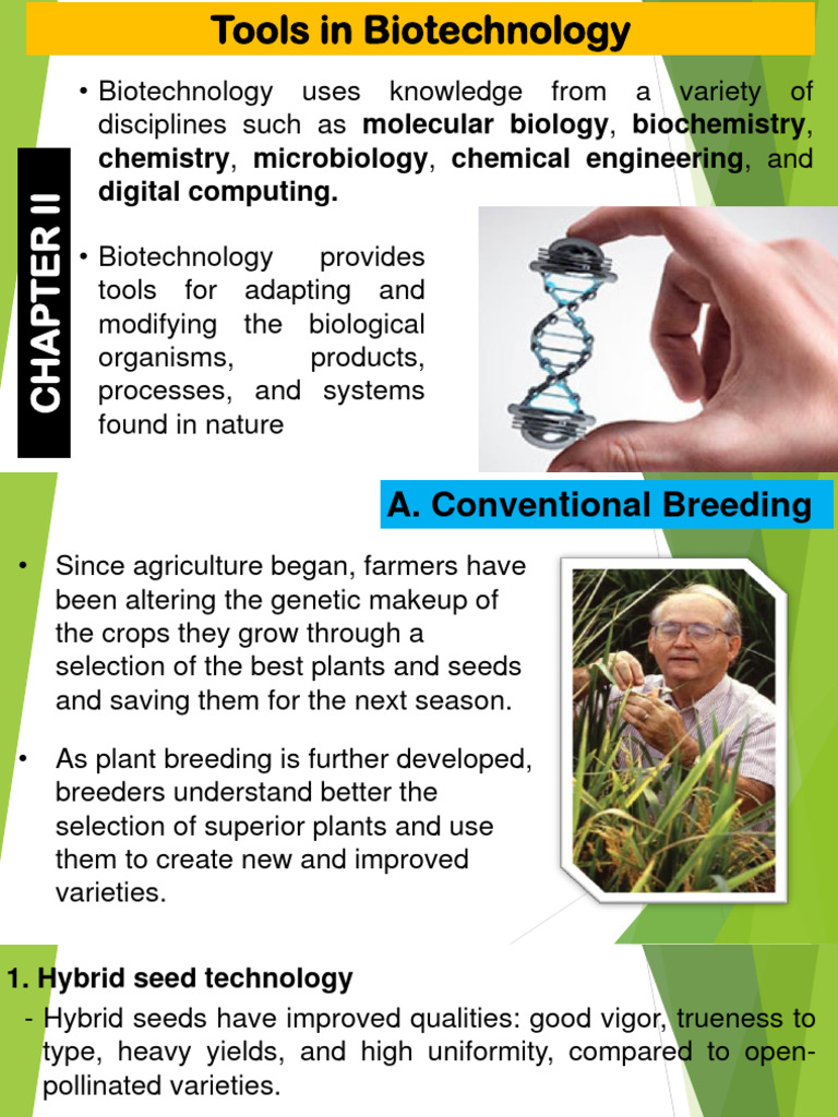 Biotechnology Tools in Agriculture | PDF | Plant Breeding | Hybrid ...