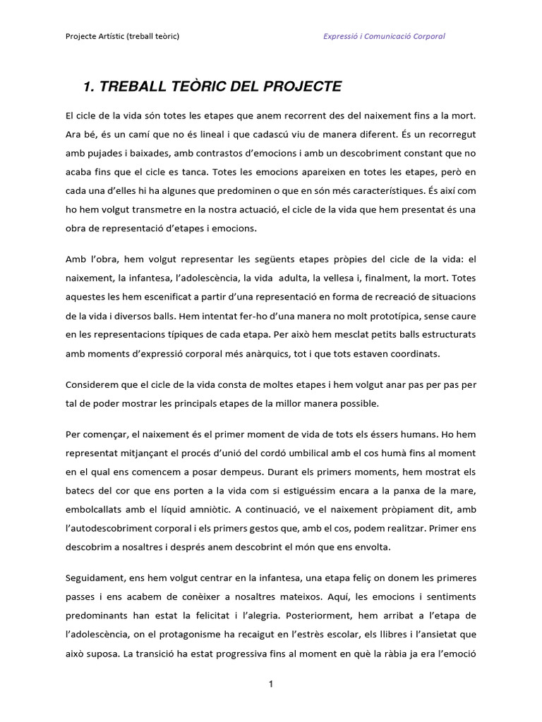 Treball Teòric Del Projecte | PDF