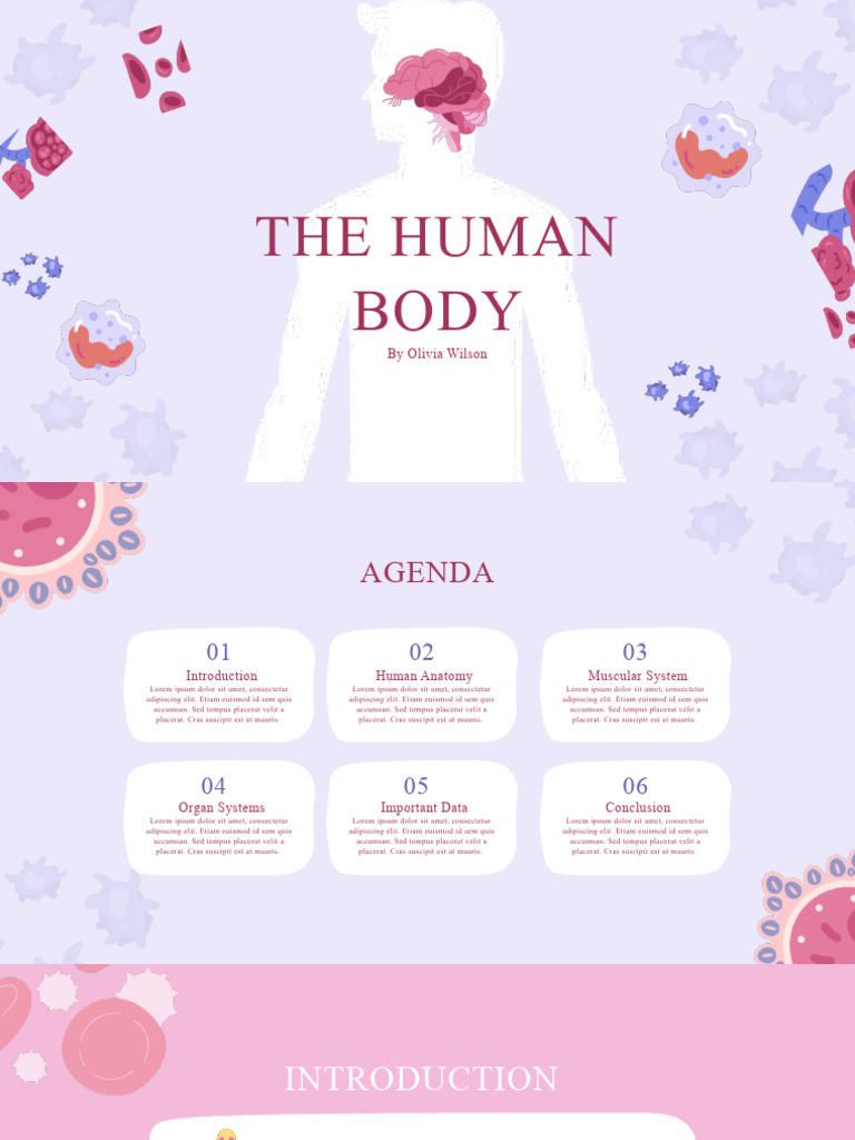 Purple Illustrative The Human Body Presentation Generated | PDF