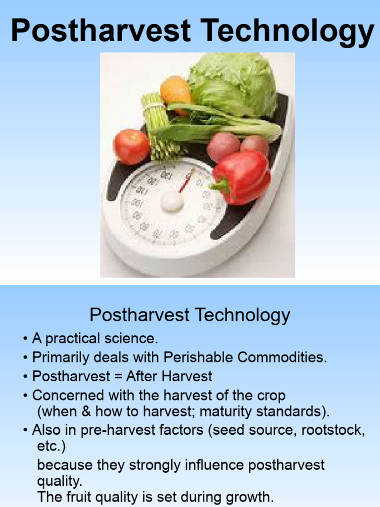 Intro To Postharvest | PDF | Vegetables | Postharvest