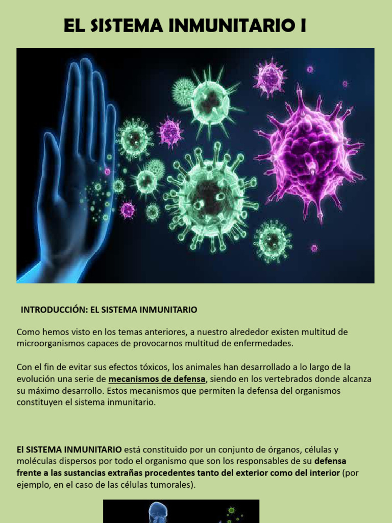 El Sistema Inmunitario | Descargar gratis PDF | Sistema inmune | Linfocitos