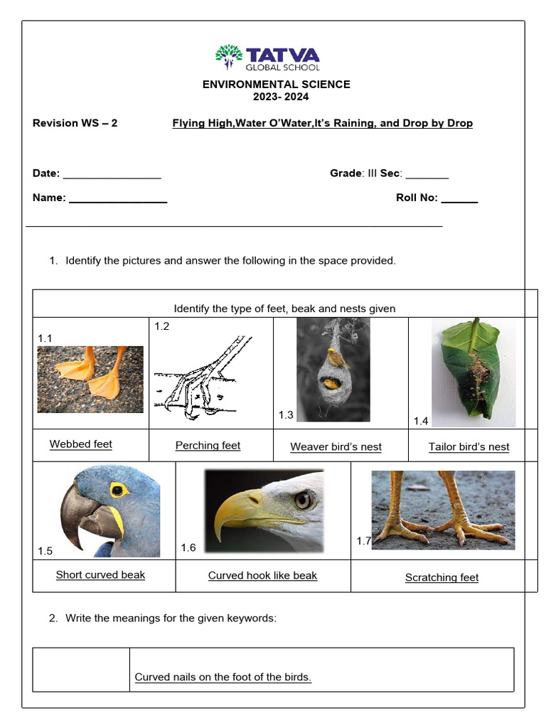 GR - 3 - Evs - Rws - 2-Ak | PDF | Water | Birds